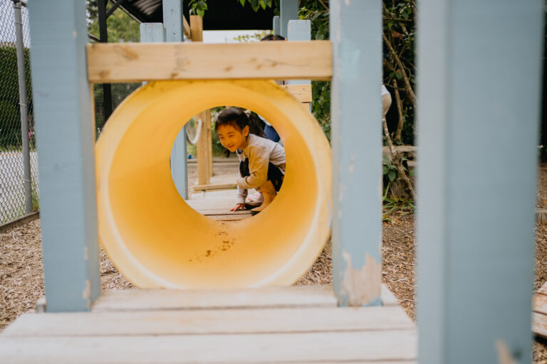 Nature School Programs – Sprouts Academy