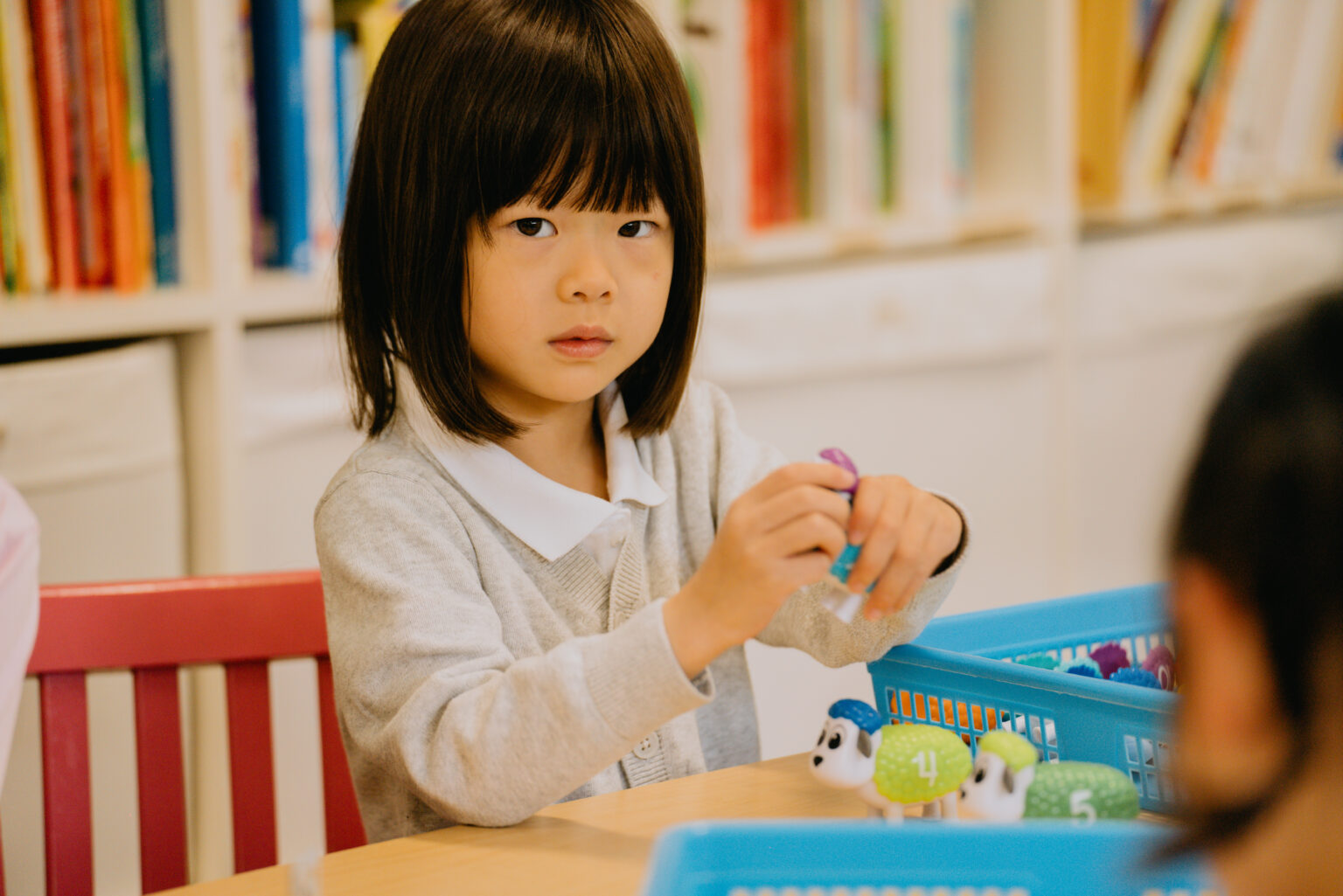 Our Programs – Sprouts Academy